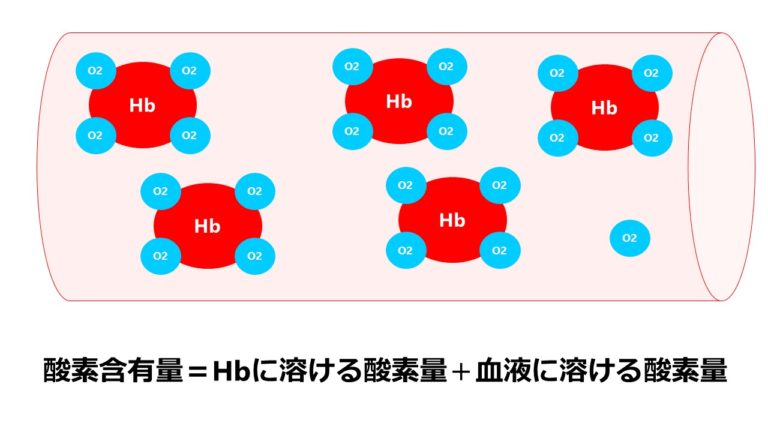 CaO2 (動脈血酸素含量)とは - どすこい研修医